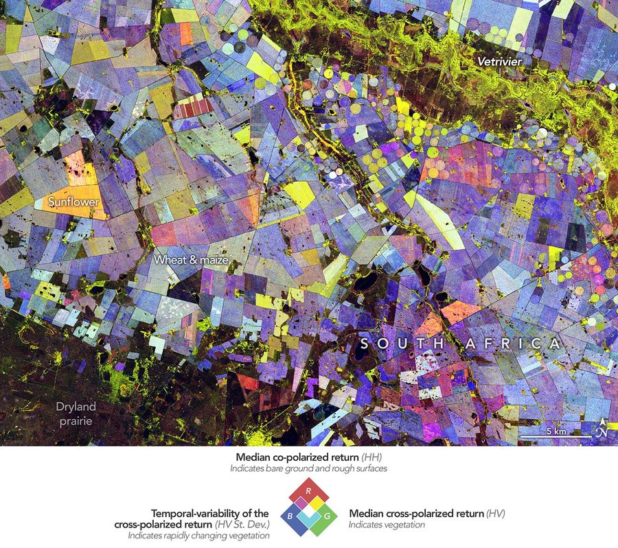 Painting the Growing Season in the Maize Triangle - NASA Science