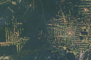 World of Change: Amazon Deforestation - NASA Science