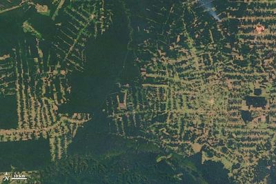 World of Change: Amazon Deforestation - NASA Science