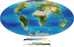 World of Change: Global Biosphere - NASA Science