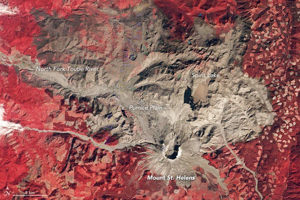 World of Change: Devastation and Recovery at Mt. St. Helens - NASA Science