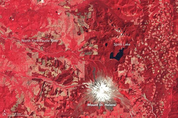 World of Change: Devastation and Recovery at Mt. St. Helens - NASA Science
