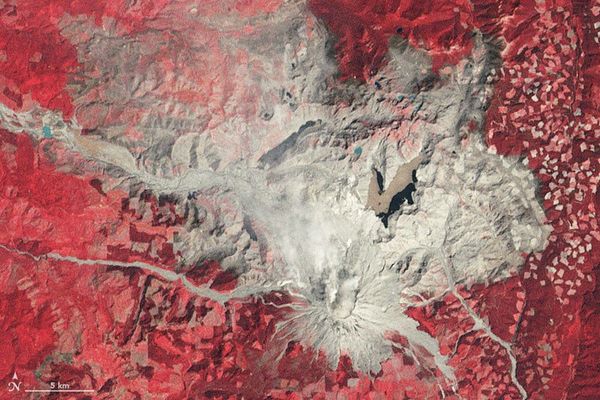 World of Change: Devastation and Recovery at Mt. St. Helens - NASA Science