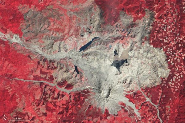 World of Change: Devastation and Recovery at Mt. St. Helens - NASA Science
