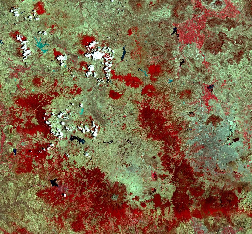 Deforestation near Angangueo, Mexico - NASA Science