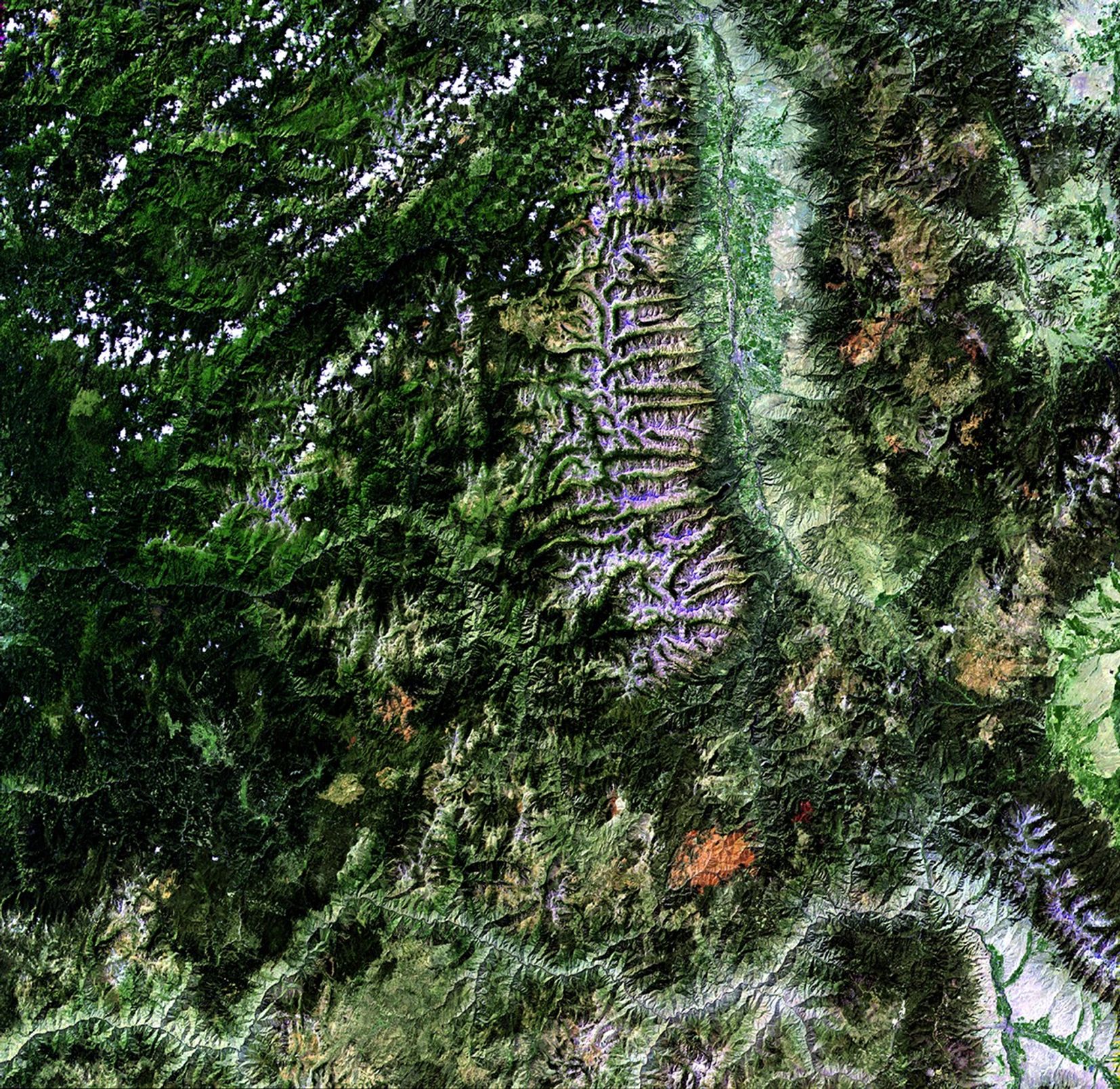 Mustang Complex fire, Idaho - NASA Science