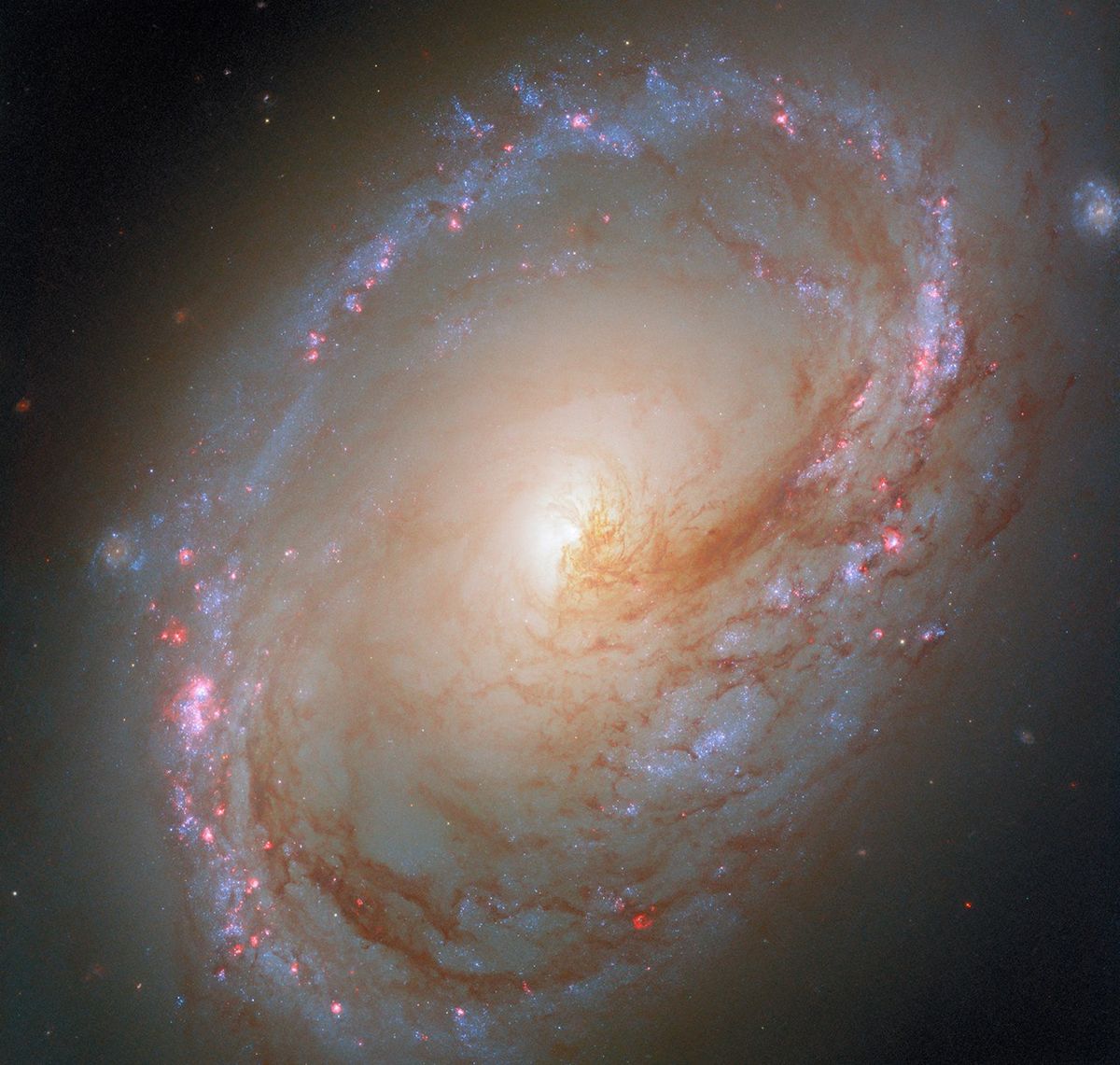 Hubble Homes in on Galaxy’s Star Formation - NASA Science