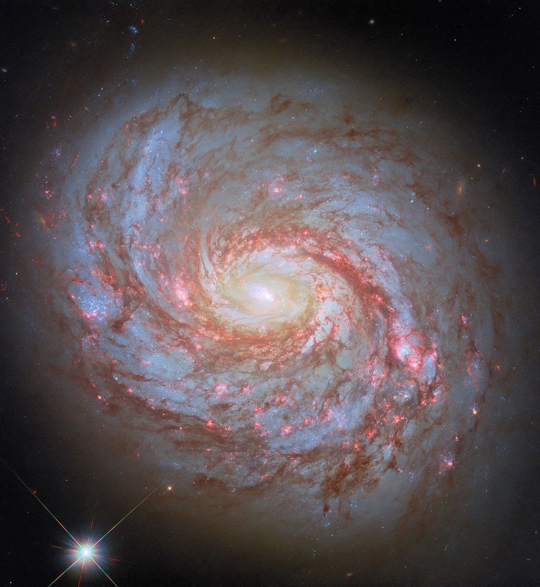 Hubble's Night Sky Challenge-December - NASA Science