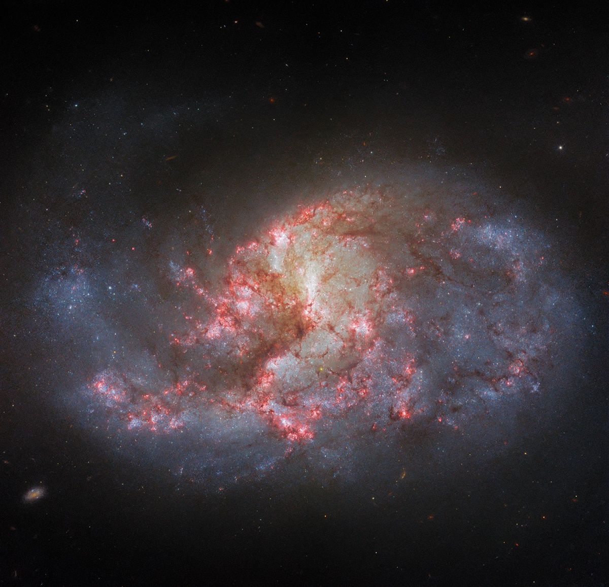 Hubble News - NASA Science
