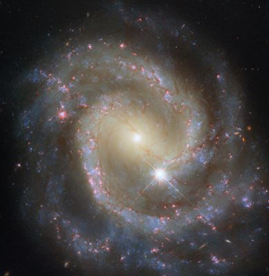Hubble Spies Paired Pinwheel on Its Own - NASA Science