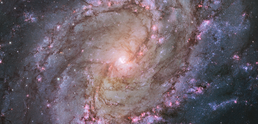 Galaxy M83 - NASA Science