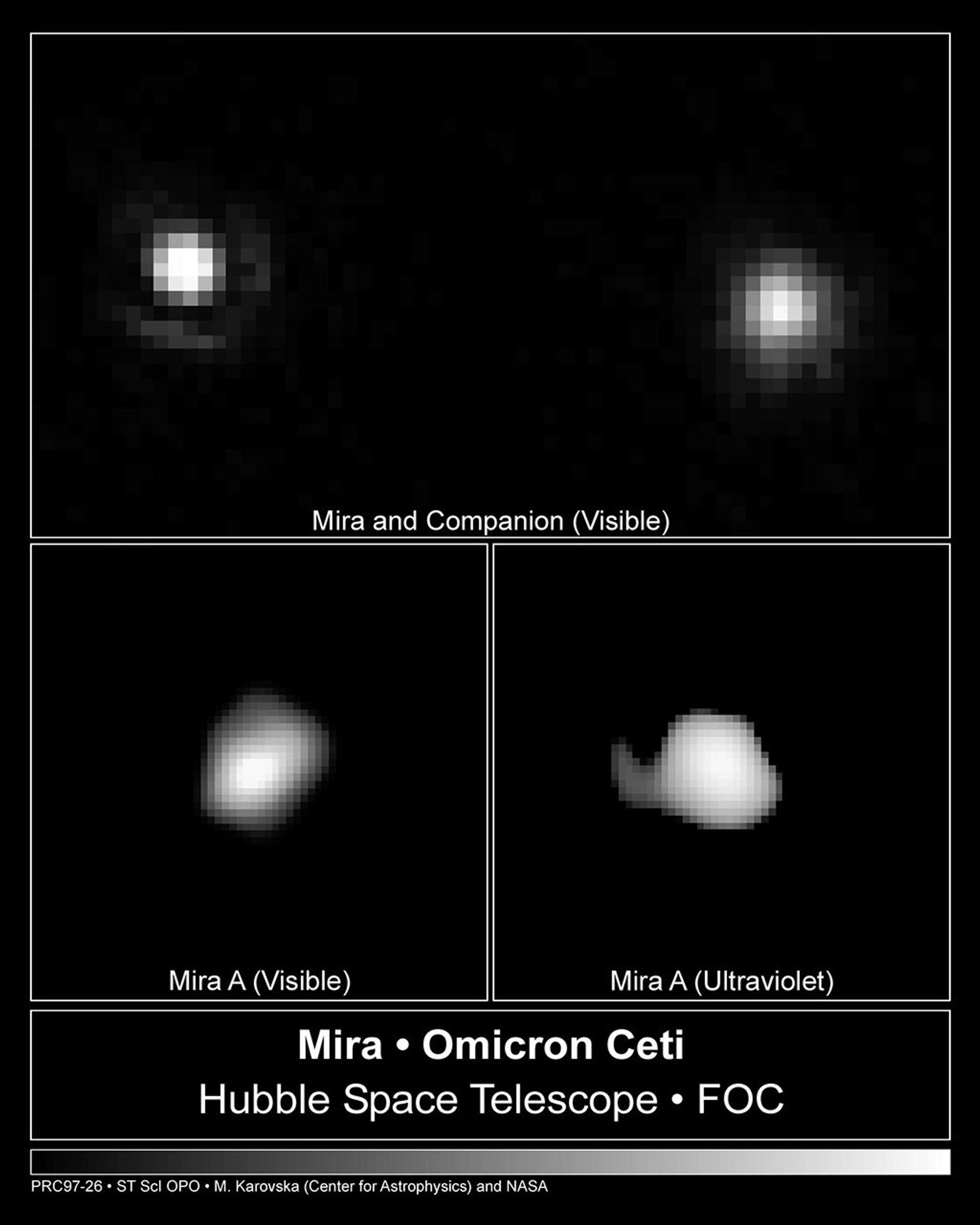 Red Giant Star Mira and Its Companion - NASA Science