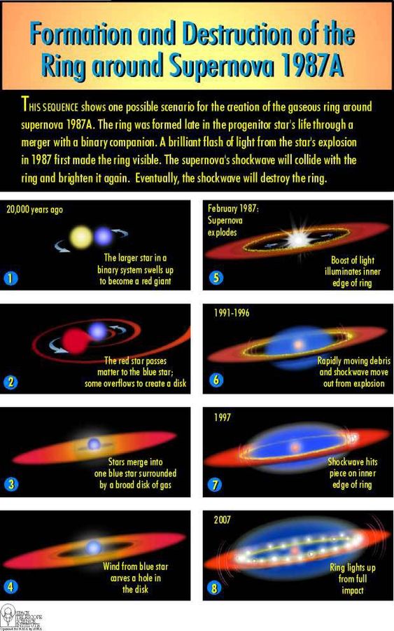 Supernova Explosion - NASA Science