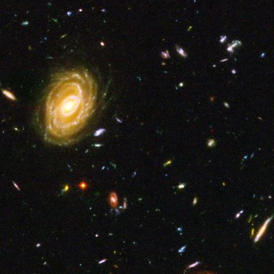 Hubble Ultra Deep Field Image Reveals Galaxies Galore - NASA Science