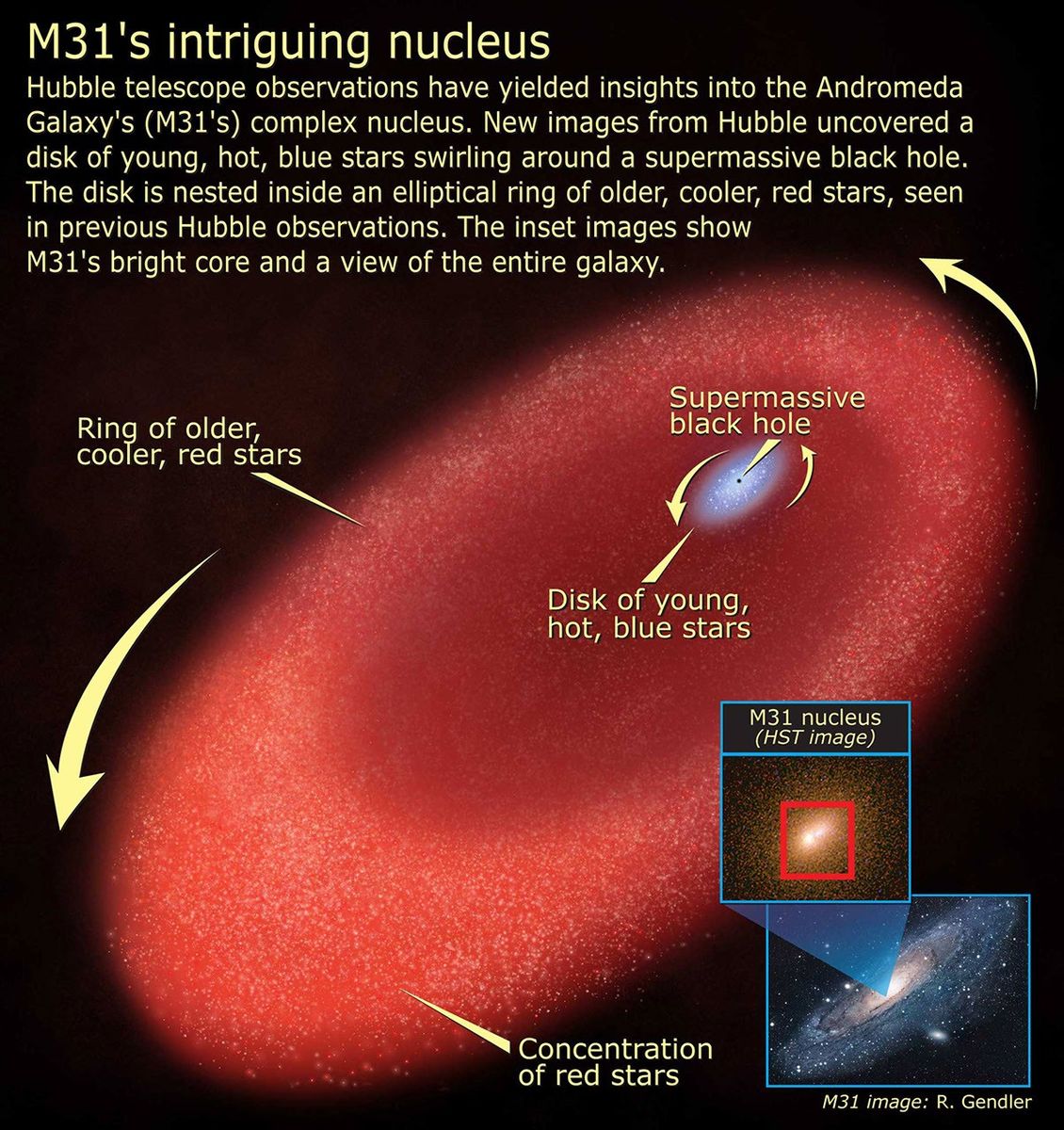 Andromeda Galaxy M31 Wide Field Image Nasa Science