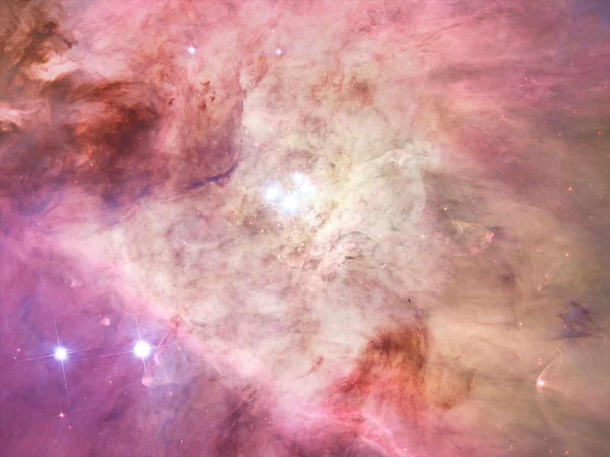 Orion Constellation - NASA Science