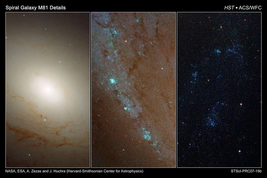 Messier 81 - NASA Science