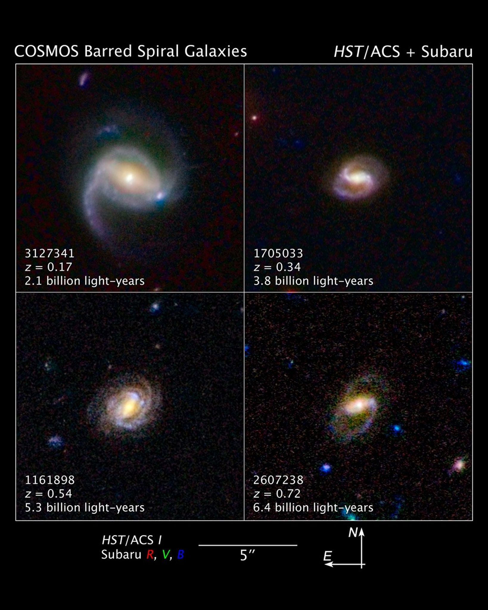 COSMOS Barred Spiral Galaxies - NASA Science