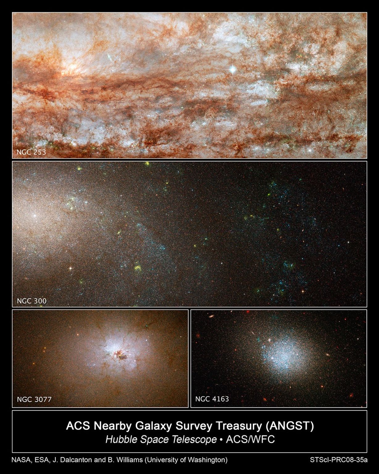 Detail of NGC 300 - Nucleus - NASA Science