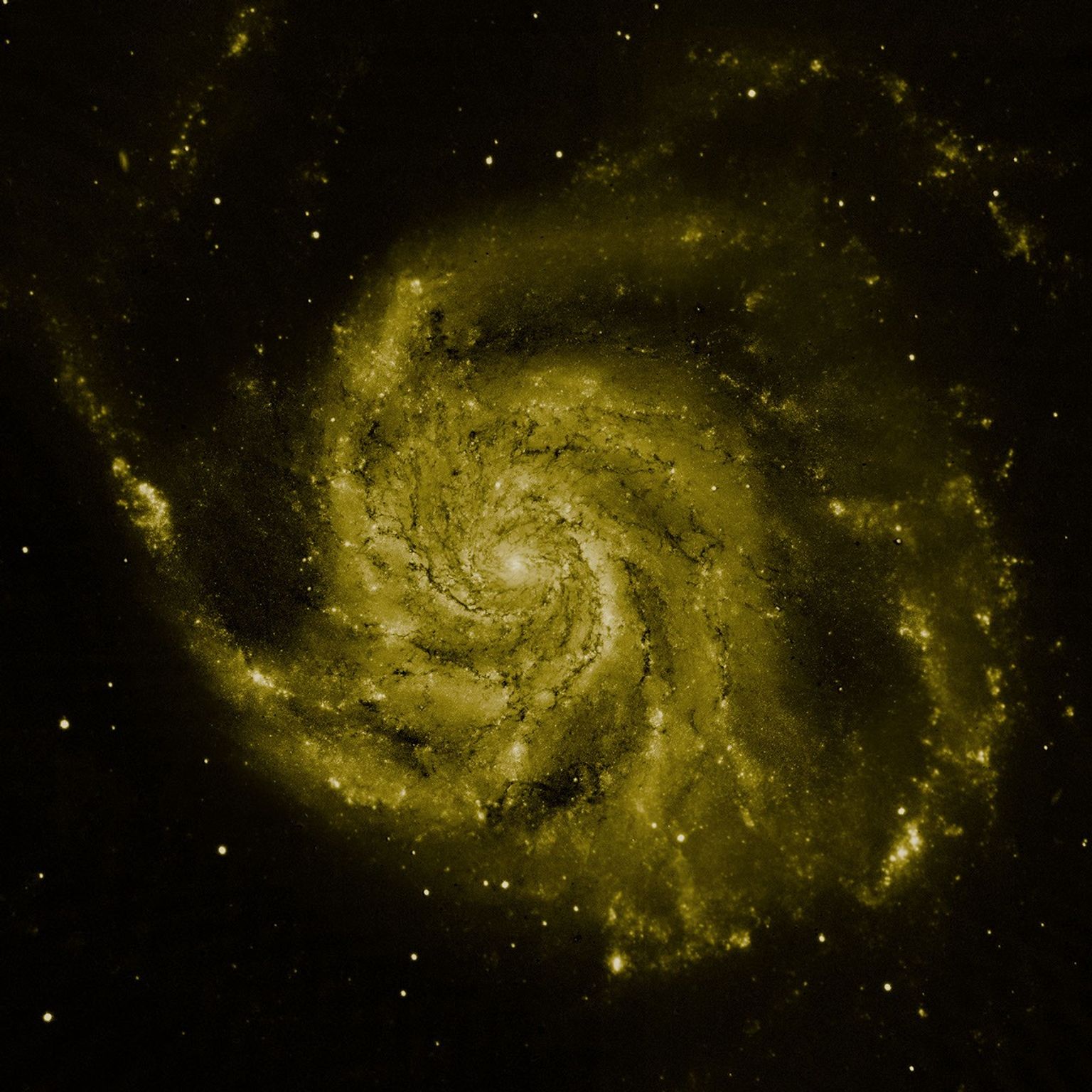 Hubble Image of M101 - NASA Science