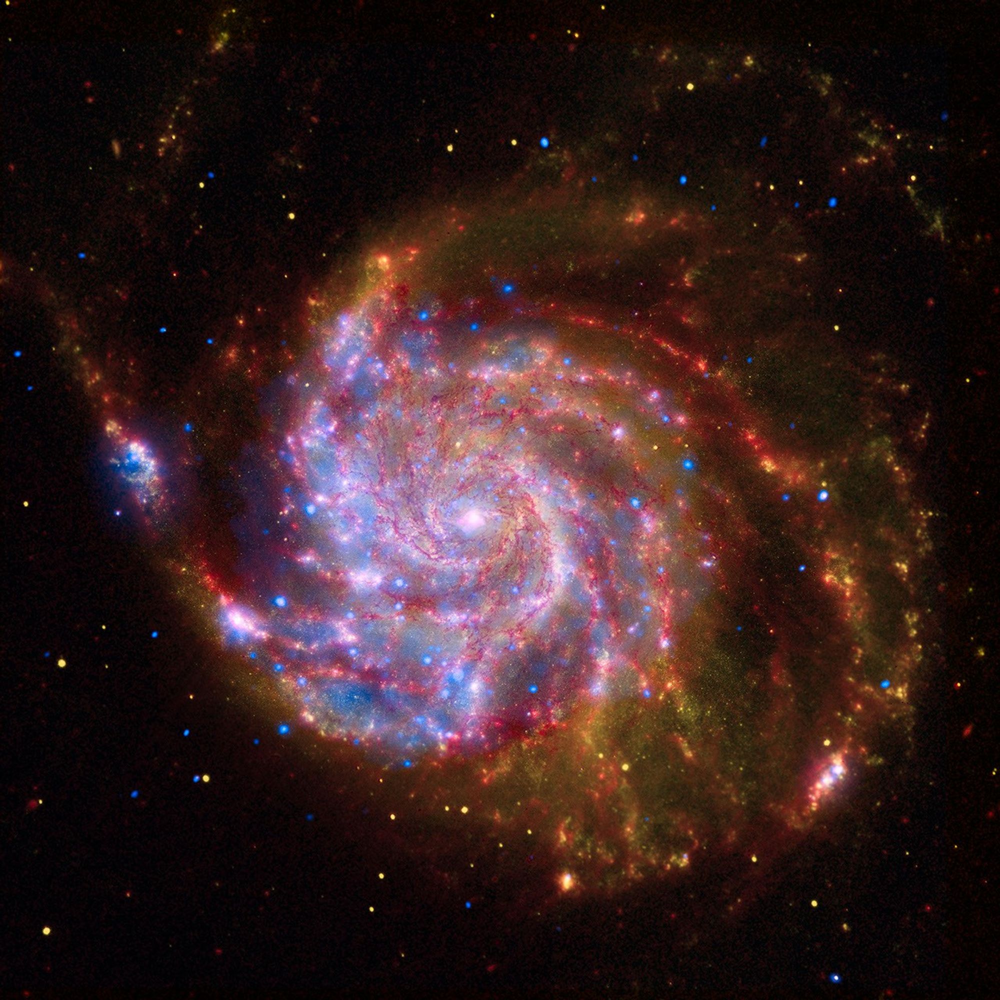 Hubble Image of M101 - NASA Science