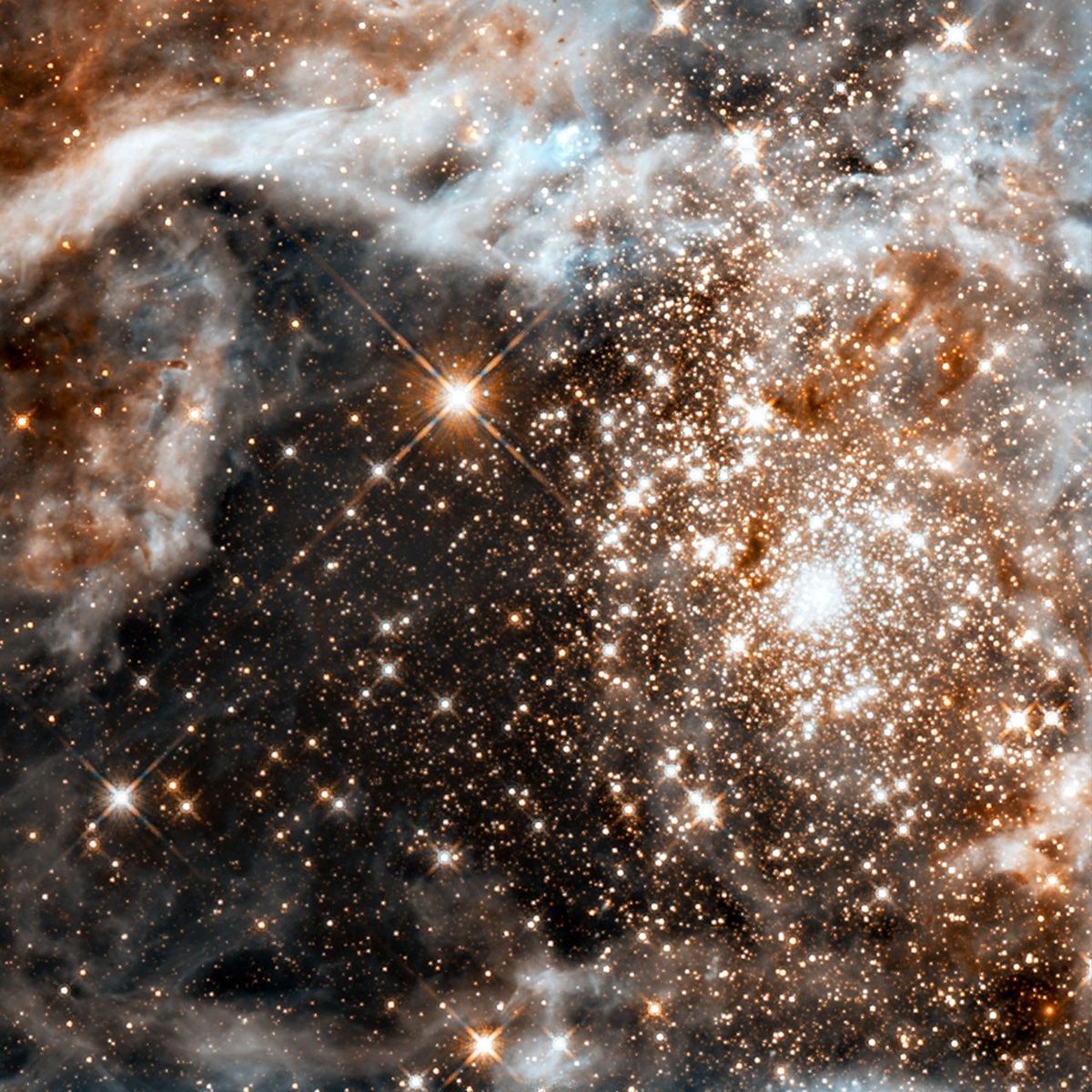 Hubble's Grand View of Star Birth - NASA Science