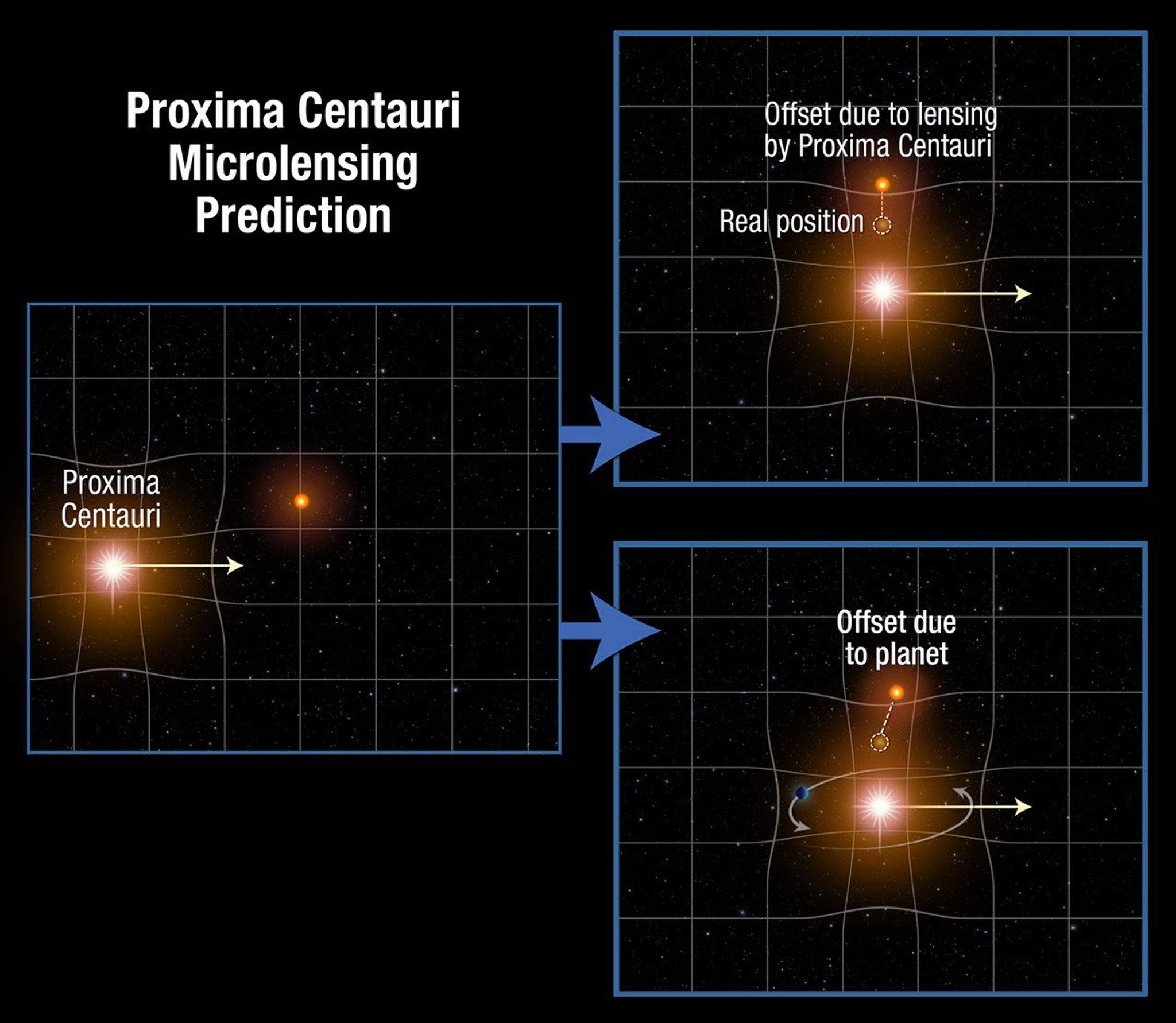 Hubble Image of Proxima Centauri - NASA Science