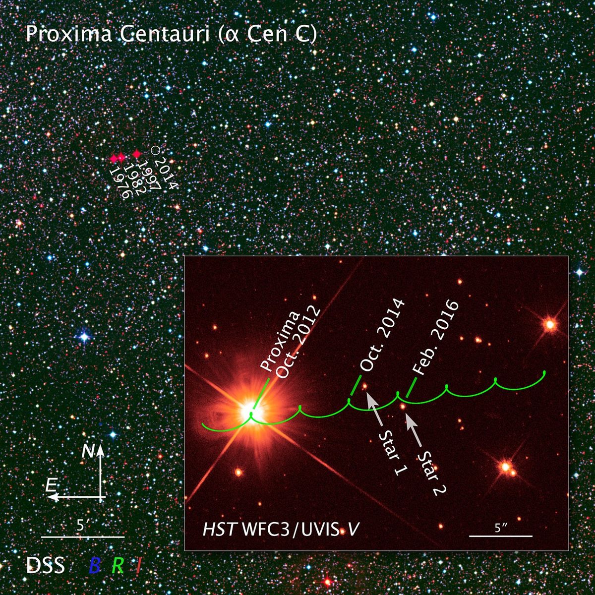 Hubble Image of Proxima Centauri - NASA Science