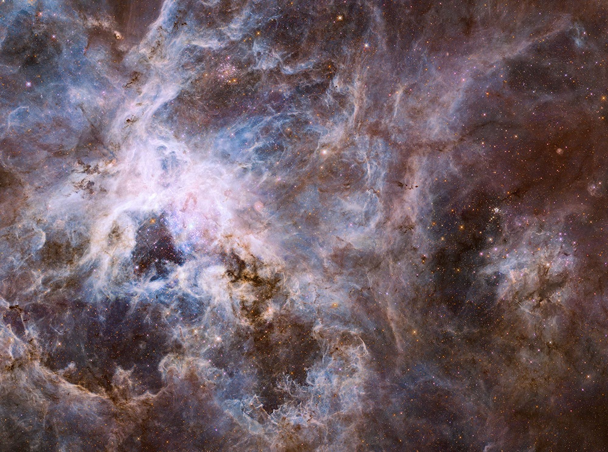 Simulation of Star Birth in the Tarantula Nebula (Narrated) - NASA Science