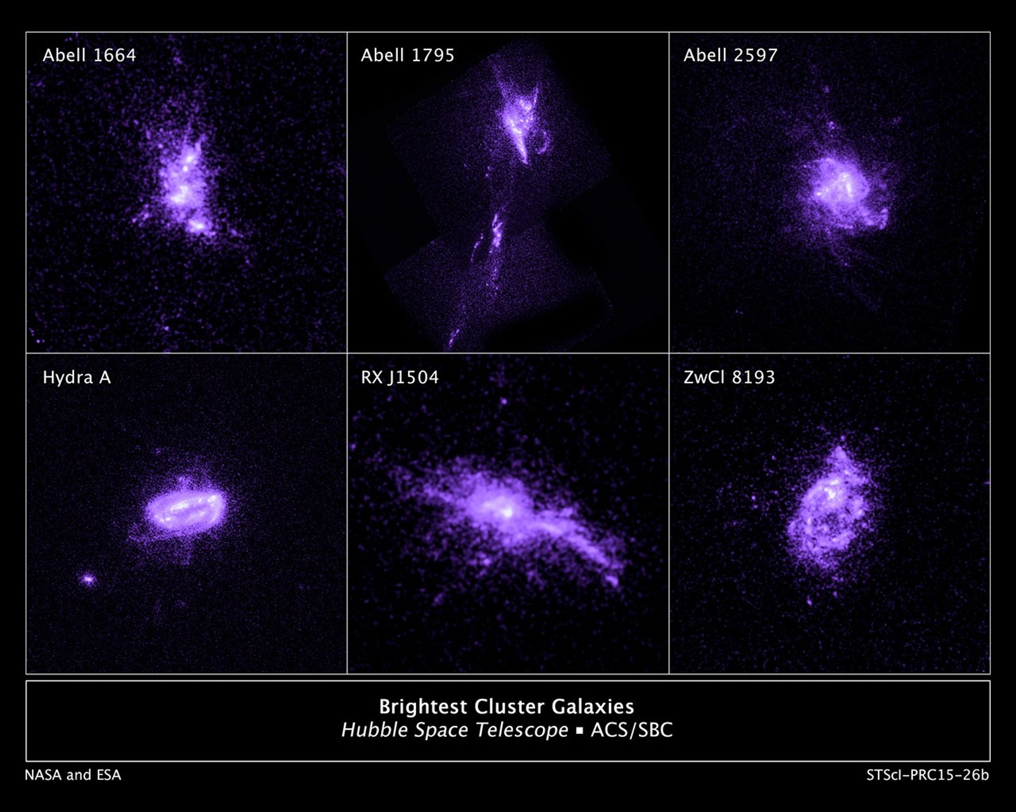 Sample of Brightest Cluster Galaxies - NASA Science