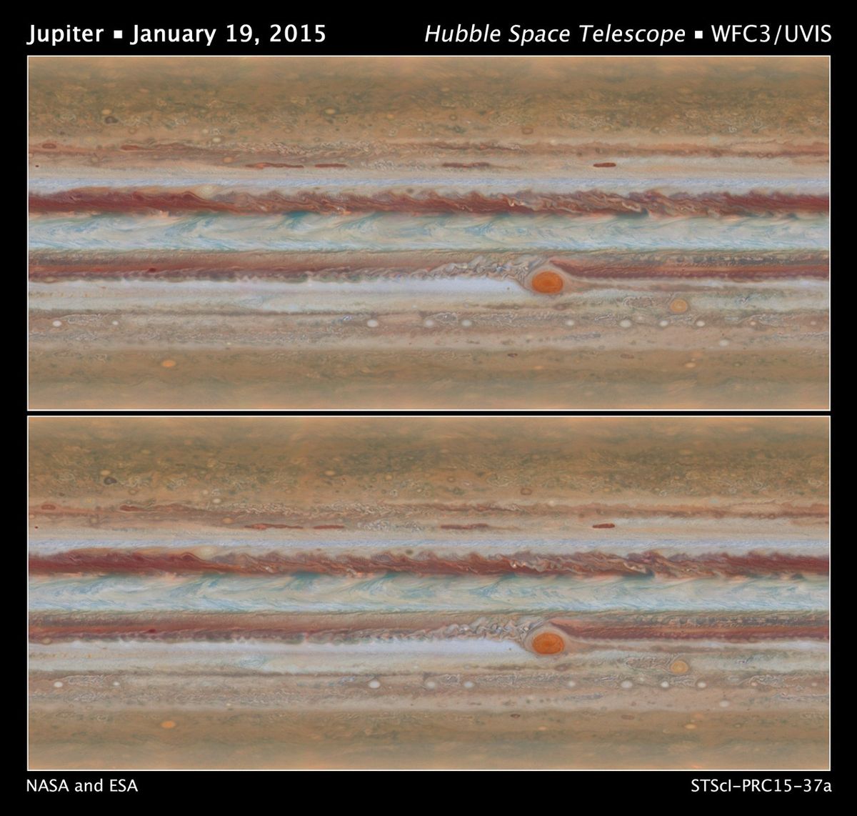 Compass and Scale Image of Jupiter - NASA Science