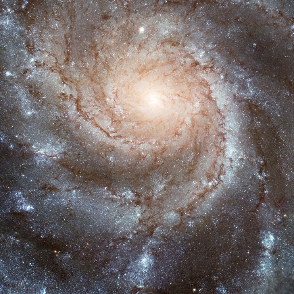 M101 (HST) - NASA Science