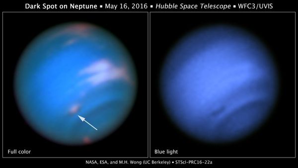 Full Color Neptune Global Map from Hubble's OPAL Program (Dark Spot and ...