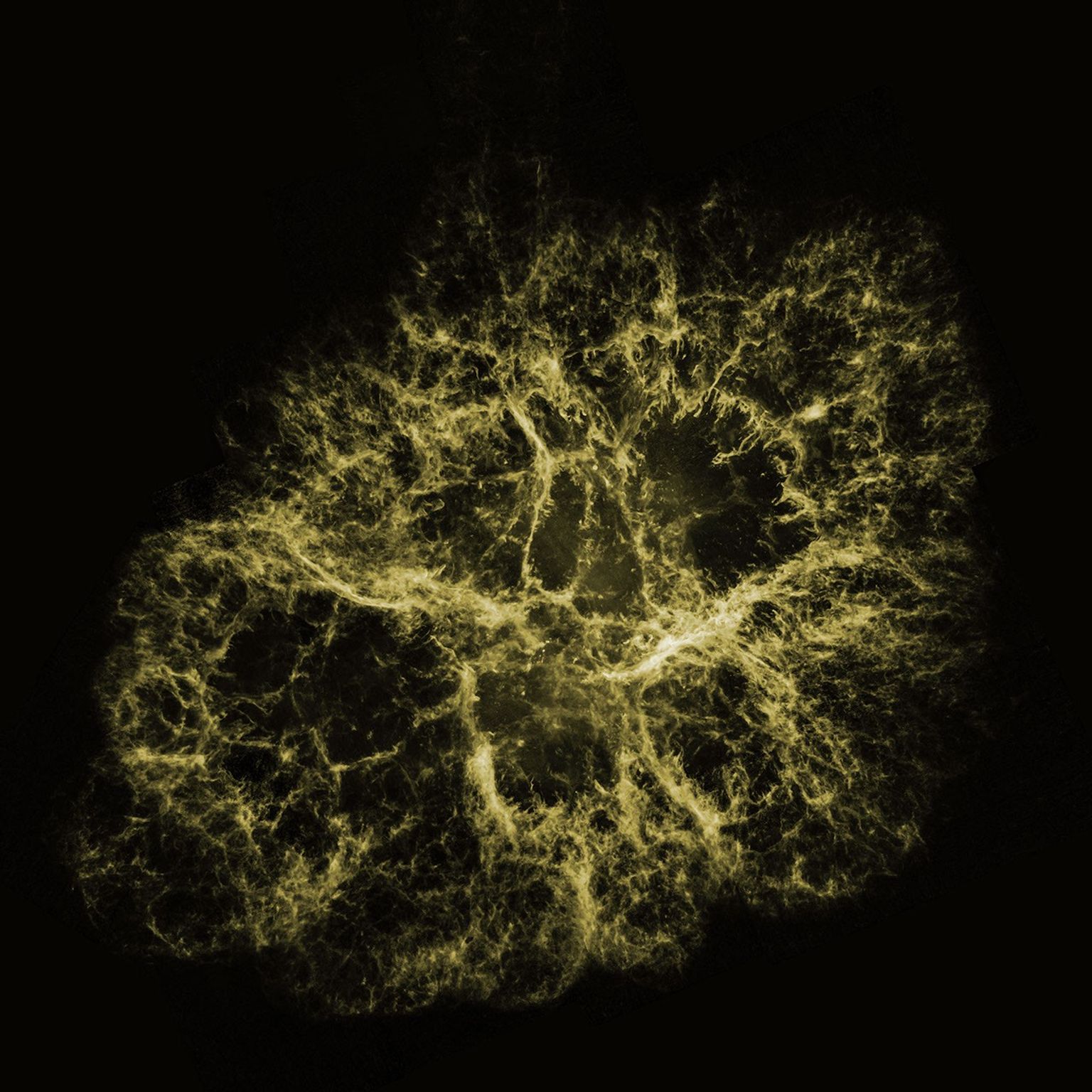 Crab Nebula - NASA Science