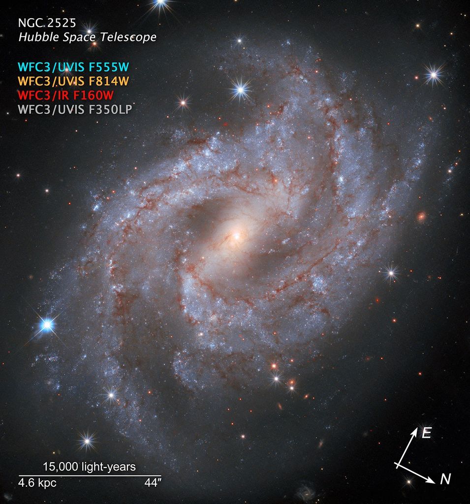 Hubble Watches Exploding Star Fade into Oblivion - NASA Science