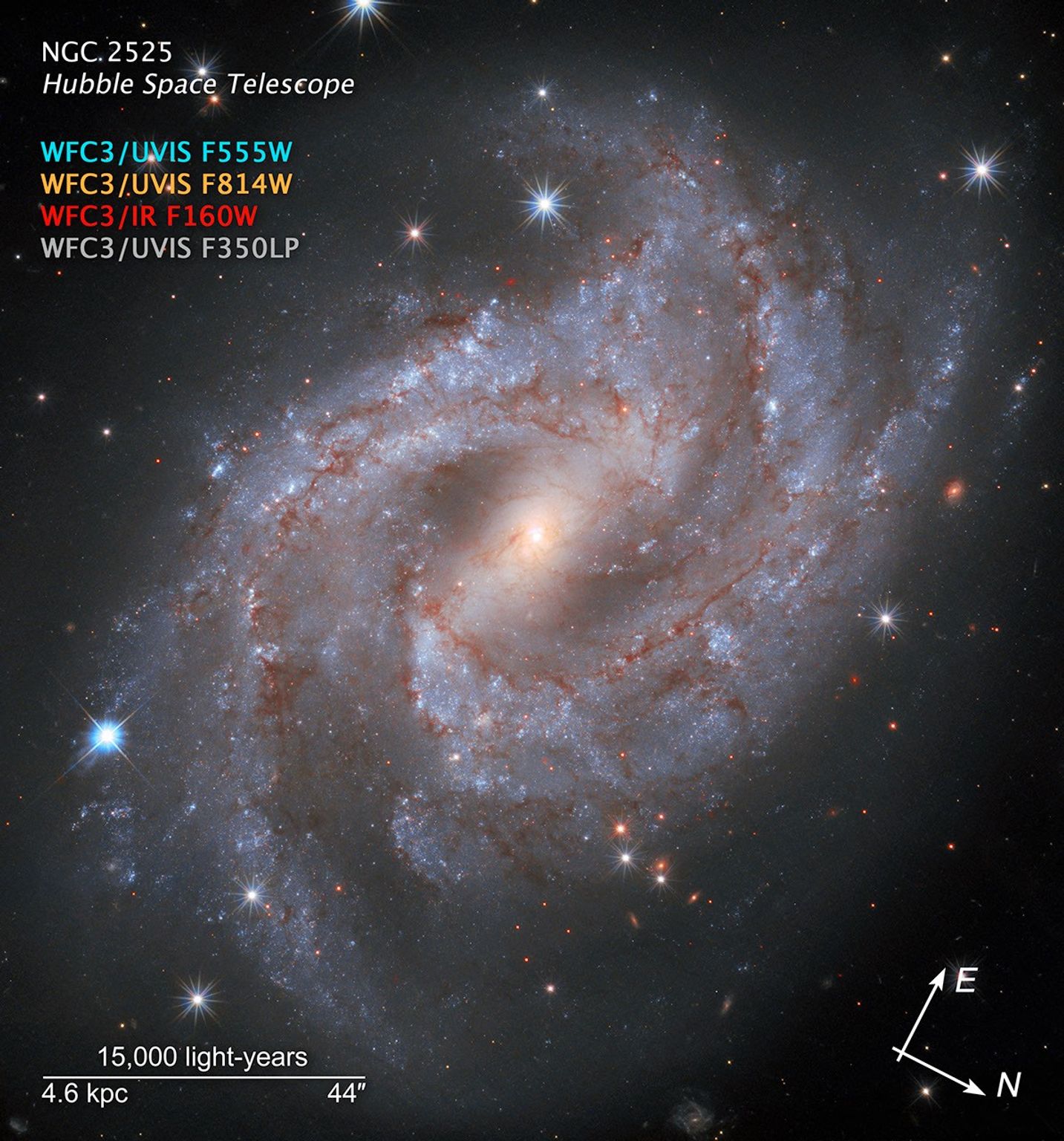 Hubble Watches Exploding Star Fade into Oblivion - NASA Science