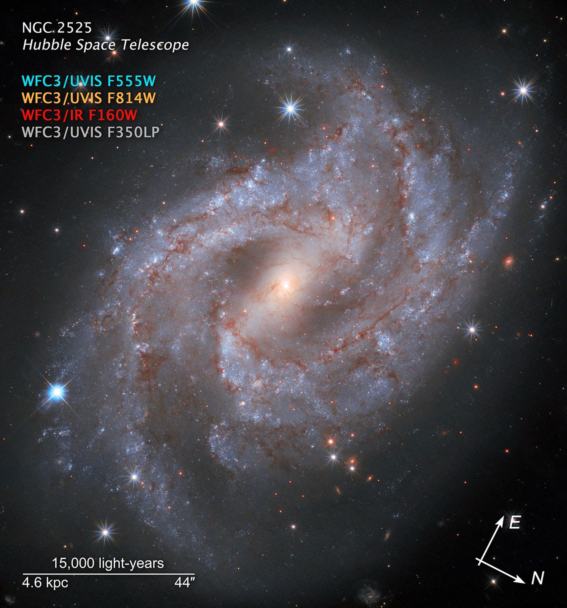 Hubble Watches Exploding Star Fade into Oblivion - NASA Science