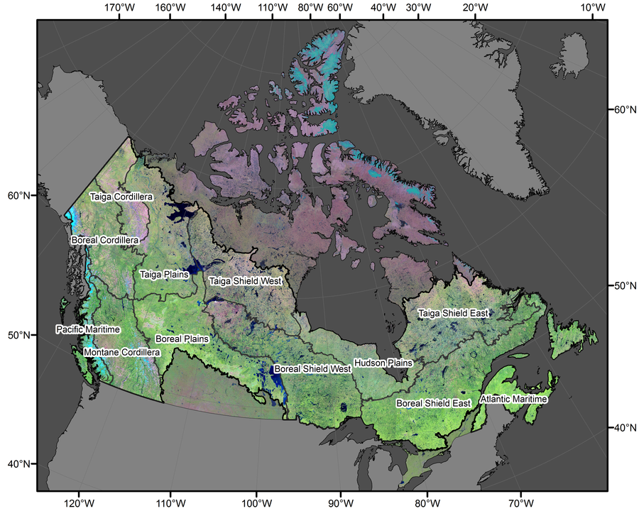 The Stuff of Trees: Three-Decades of Forest Biomass Measured Across ...