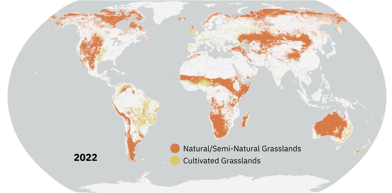 Mapping Grasslands: An Underappreciated Ecosystem - NASA Science