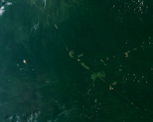 Deforestation in Paraguay’s Gran Chaco - NASA Science
