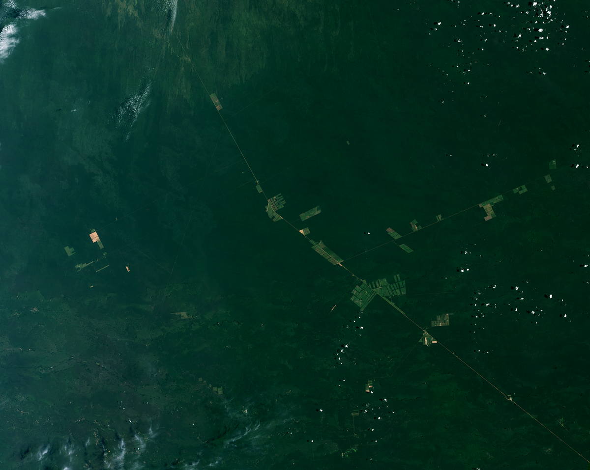 Deforestation in Paraguay’s Gran Chaco - NASA Science