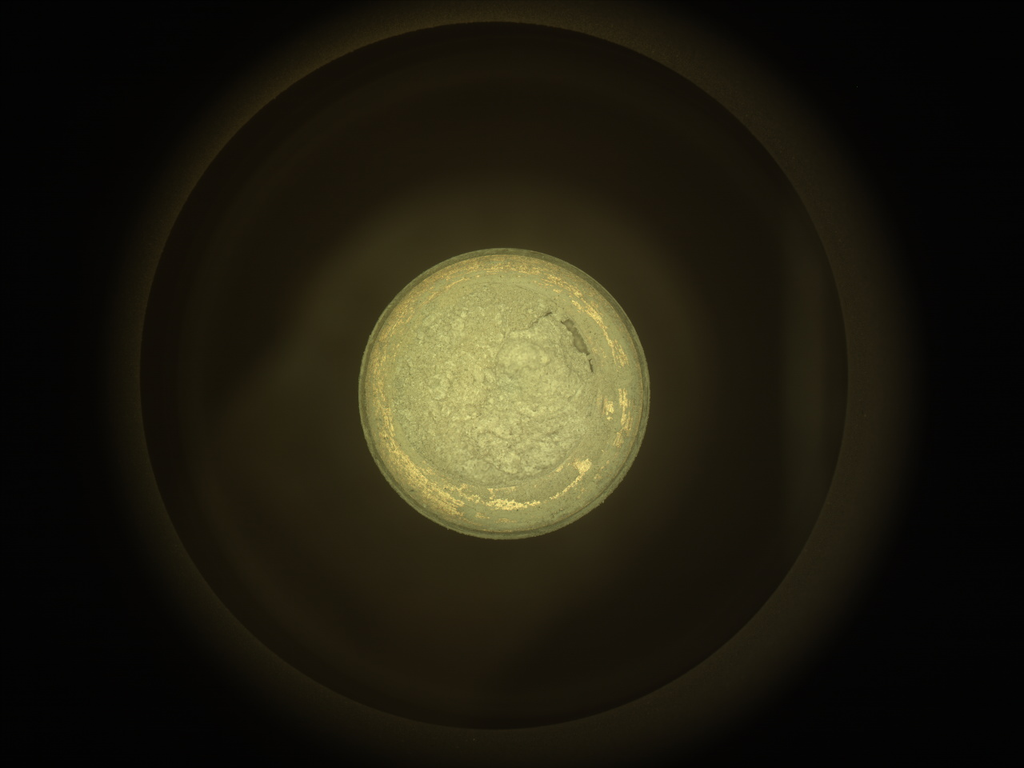 Gardens on Mars? No, Just Rocks! - NASA Science