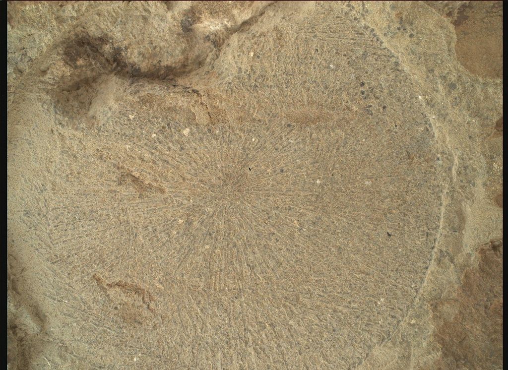 What ‘Perseverance’ Means on Mars and for Our NASA Family - NASA Science
