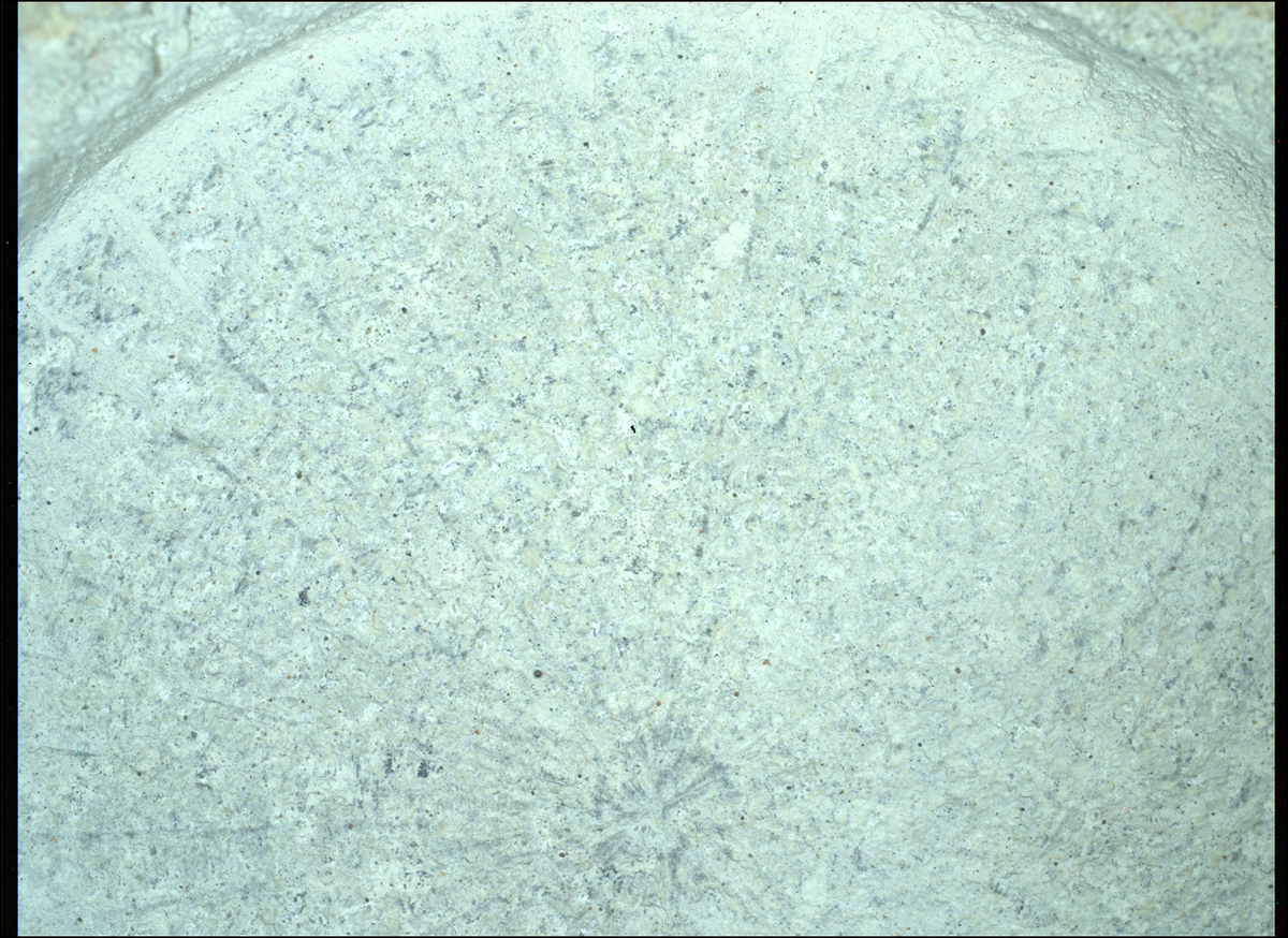 Cookies, Cream, and Crumbling Cores - NASA Science