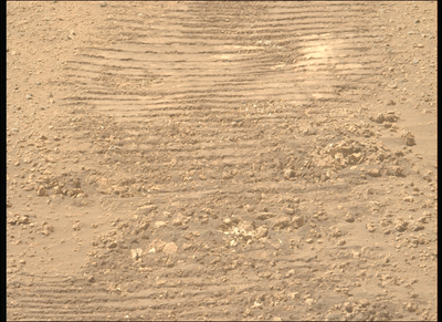 What ‘Perseverance’ Means on Mars and for Our NASA Family - NASA Science