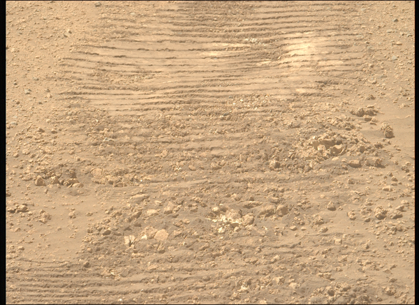 What ‘Perseverance’ Means on Mars and for Our NASA Family - NASA Science