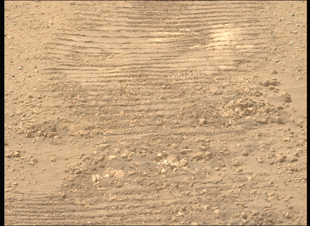 What ‘Perseverance’ Means on Mars and for Our NASA Family - NASA Science