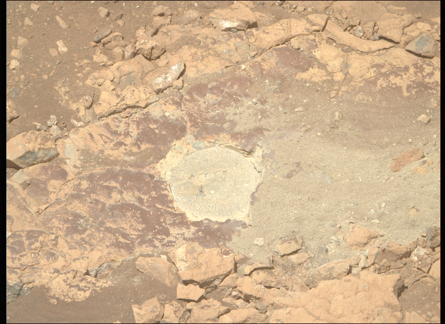 Clay Minerals From Mars’ Most Ancient Past? - NASA Science