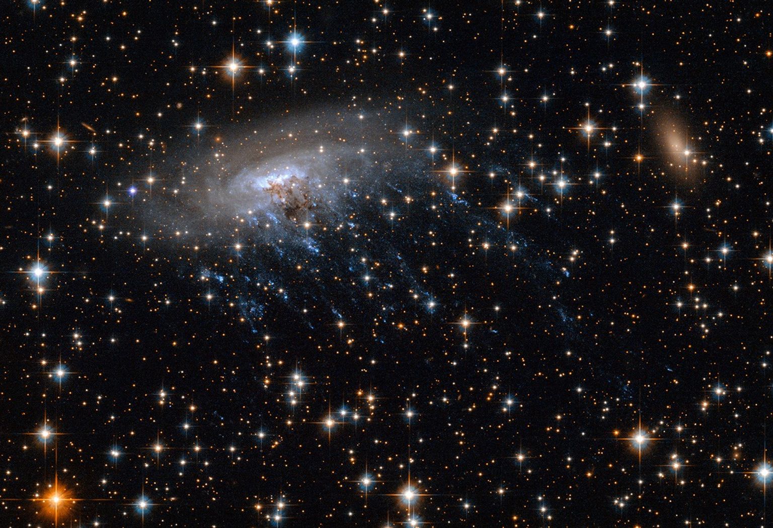 A "Jellyfish" Galaxy Swims Into View of NASA's Upcoming Webb Telescope ...