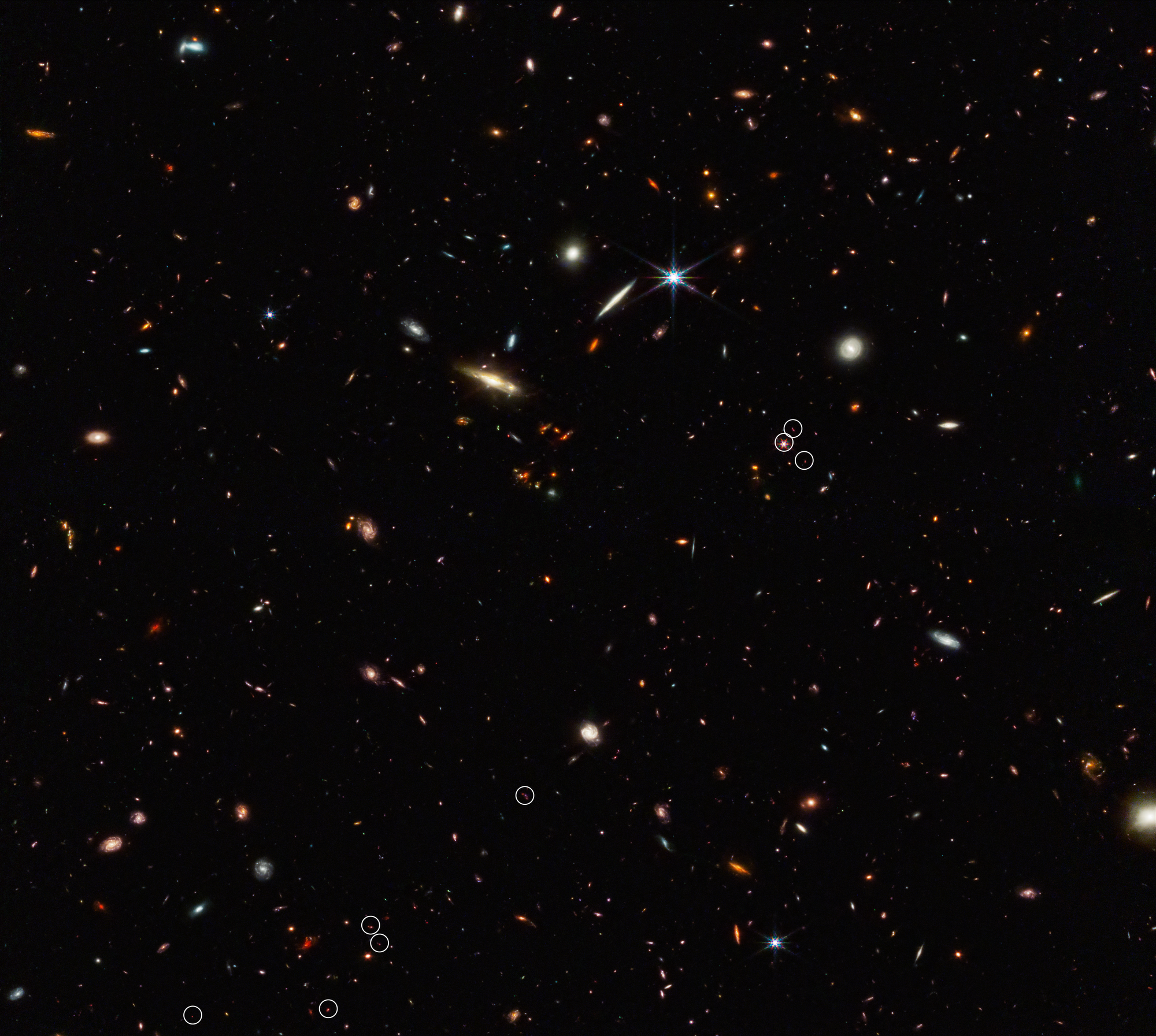 NASA's Webb Identifies the Earliest Strands of the Cosmic Web - NASA ...